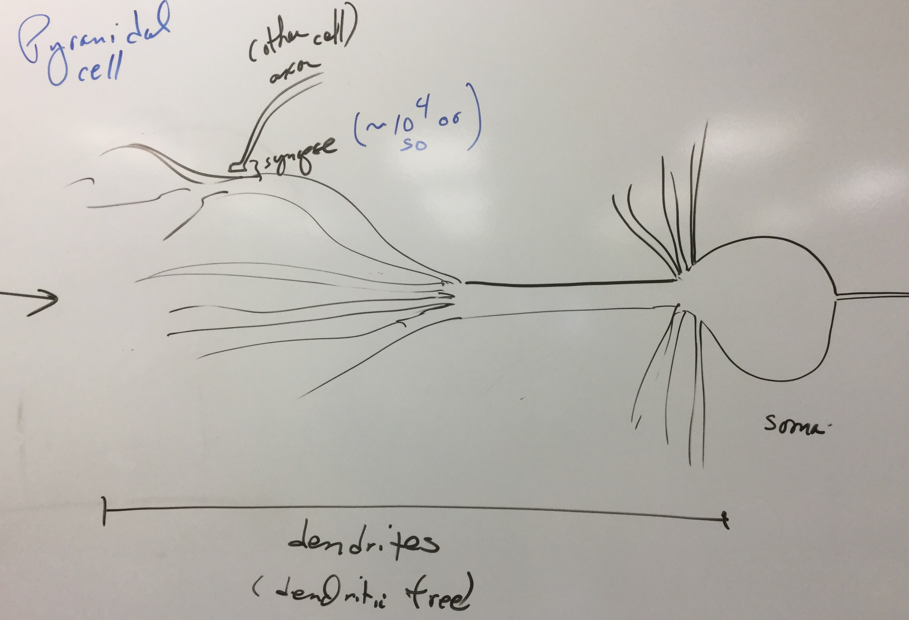 Introduction to Spiking Neural Computation